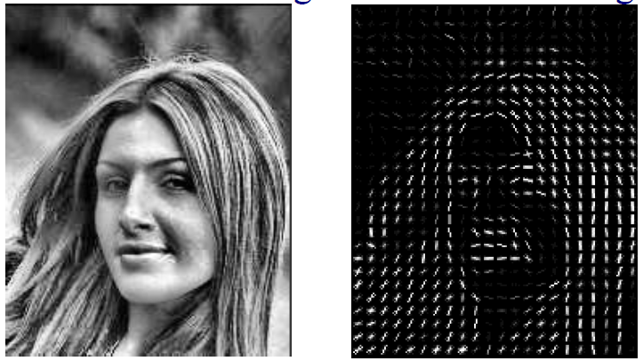 GitHub - uceeatb/Facial-Recognition-Classification