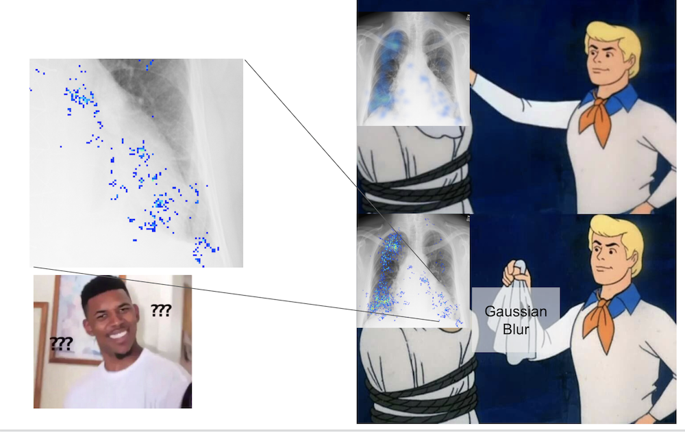 GitHub - mlmed/gifsplanation: Gifsplanation - Explaining neural ...