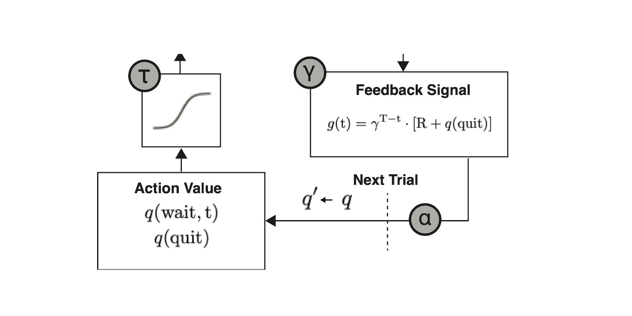 GitHub - yxyxchen/wtw_manuscript_code