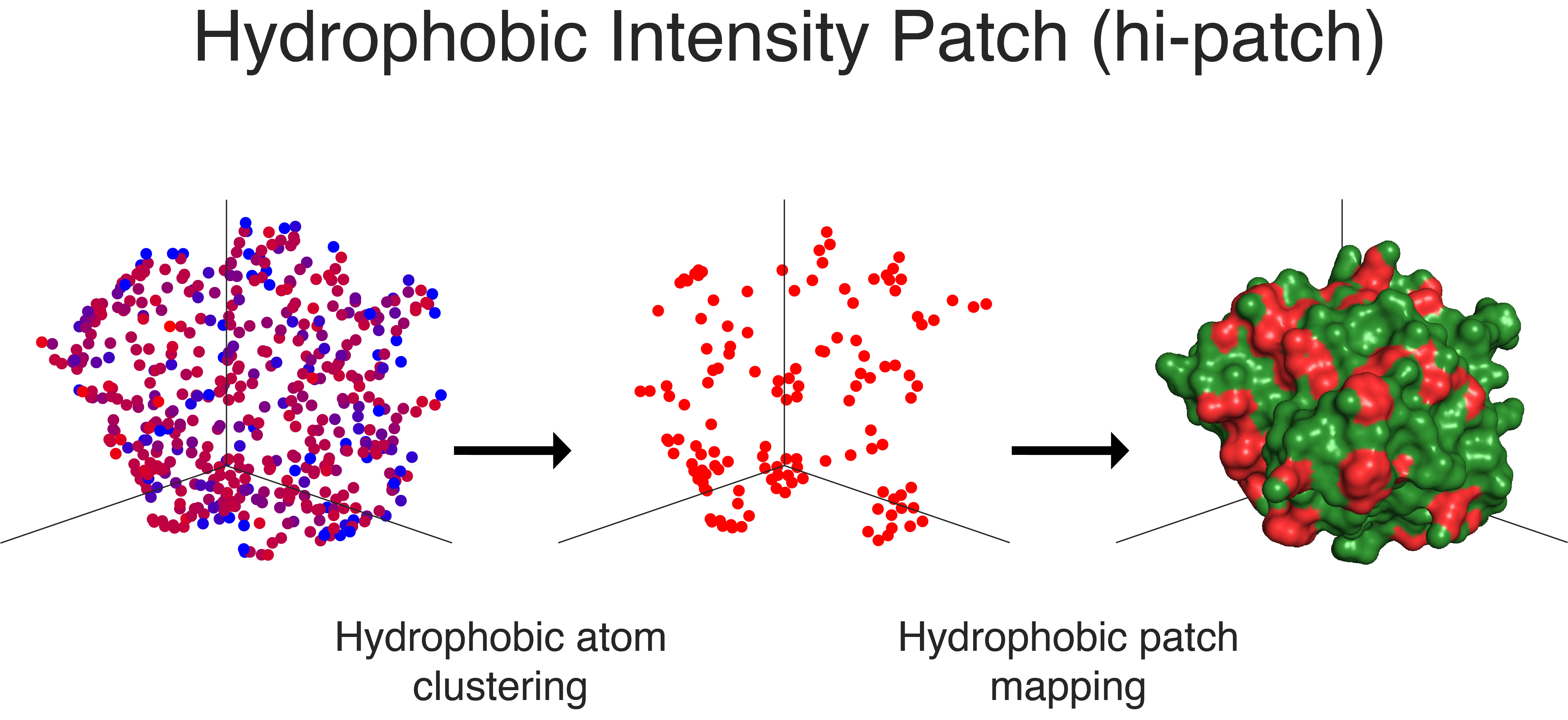 GitHub - hector-s-m/hi-patch: Hydrophobic Intensity Patch tool for the study of protein surface ...