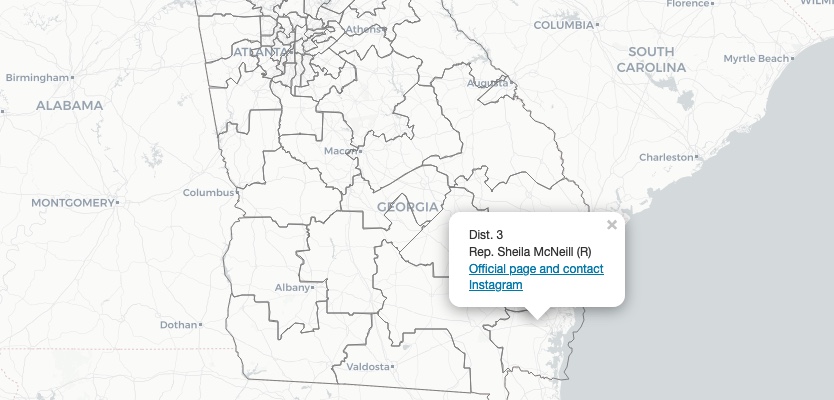 GitHub - saportareport/Georgia-Senate-21: Know your Georgia State ...