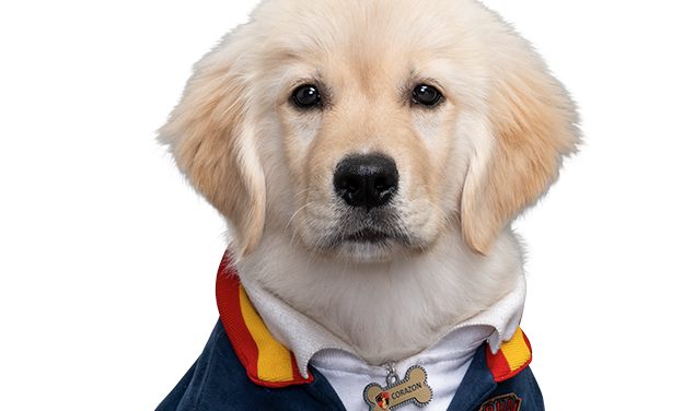 GitHub - spacetelescope/corazon: Pipeline to run exovetter