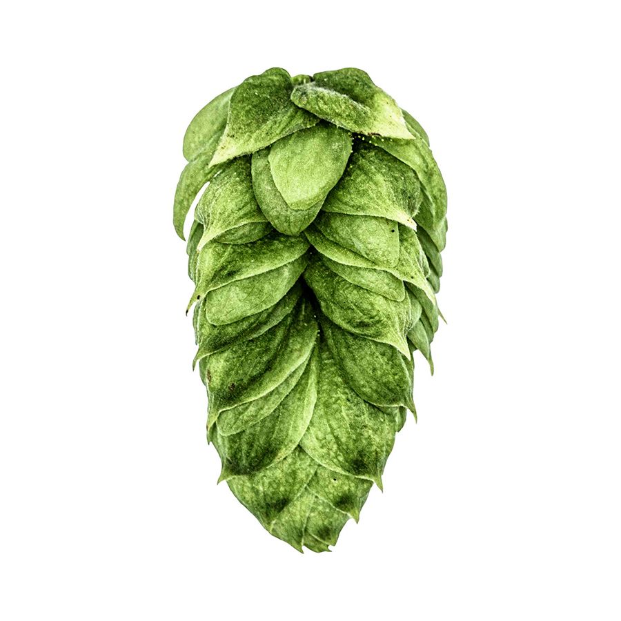 GitHub - brunohp89/IBU_Calculator · GitHub