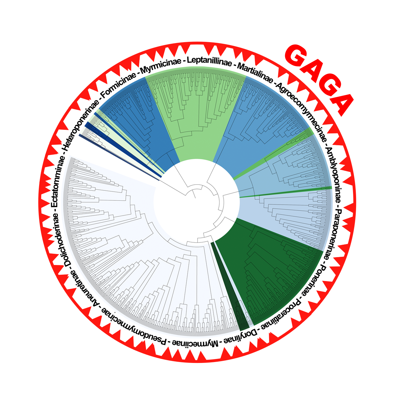 GitHub - schraderL/GAGA: Code repository for the Global Ant Genomics Alliance