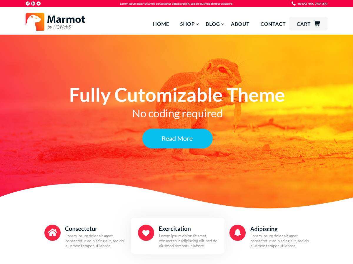 GitHub - hqwebs/marmot-theme: Fully customizable theme. Use it to make ...