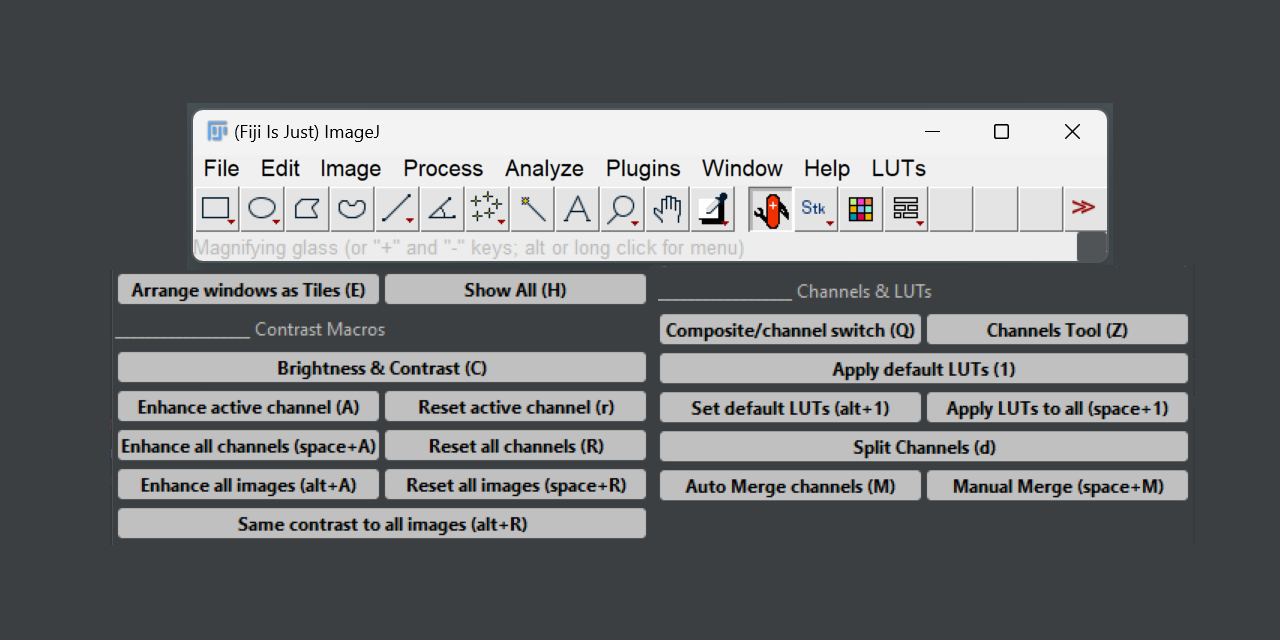 GitHub - kwolbachia/Visualization_toolset: Imagej toolset to ease ...