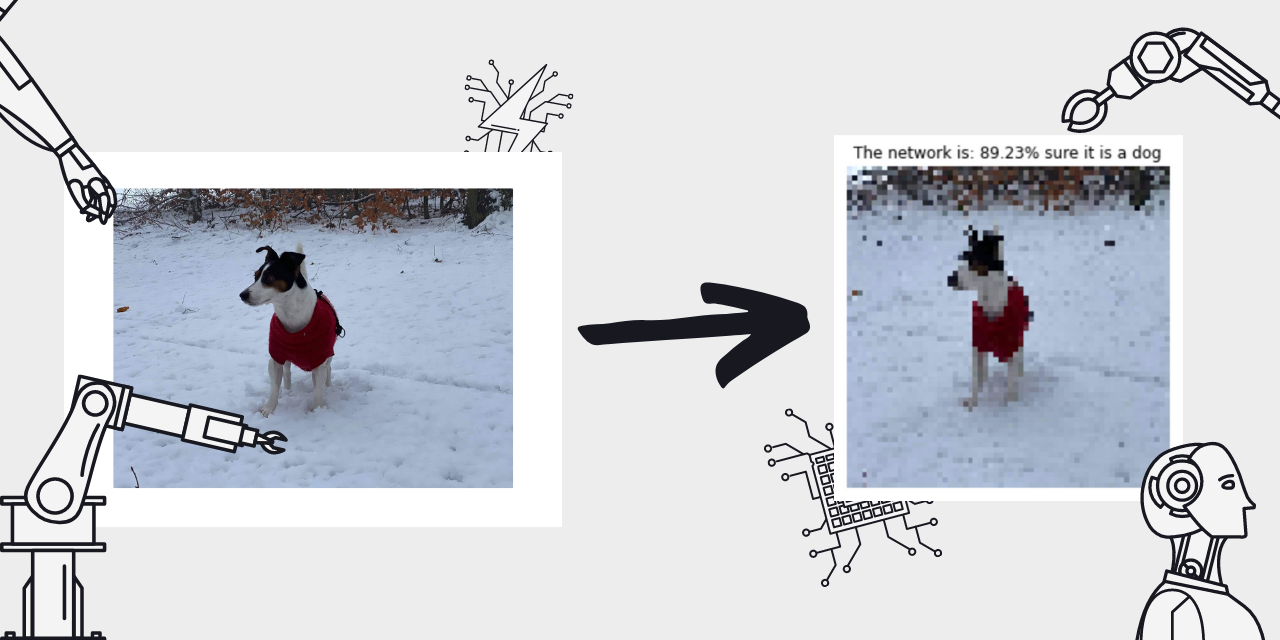 GitHub - bialczykk/cats_vs_dogs: This time I am trying to face the ...