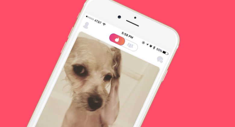 GitHub - flaretempest01/tindog: tinder-like website for dogs ;)