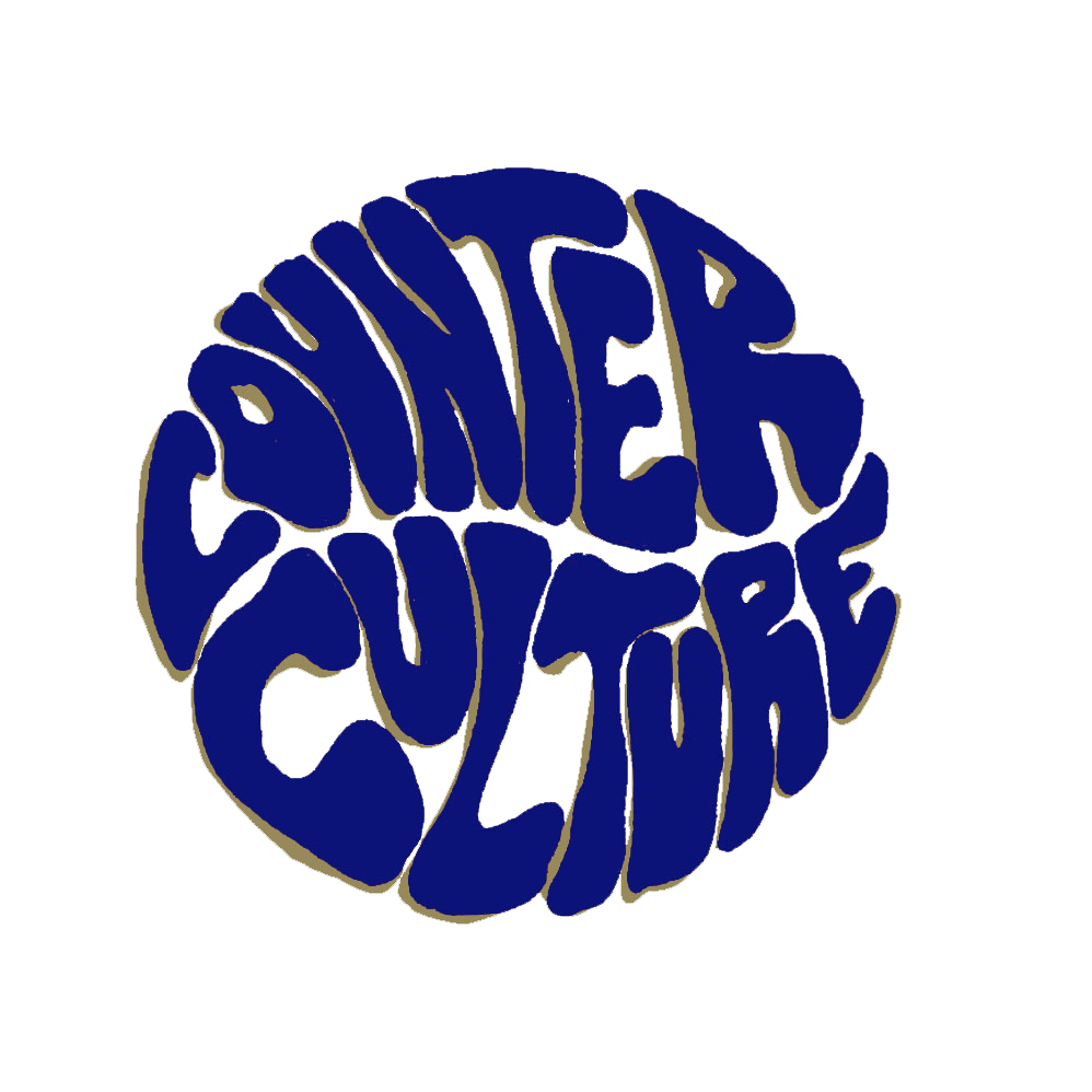 GitHub - ilpapadilgelato/intro-html: A robot powered training ...