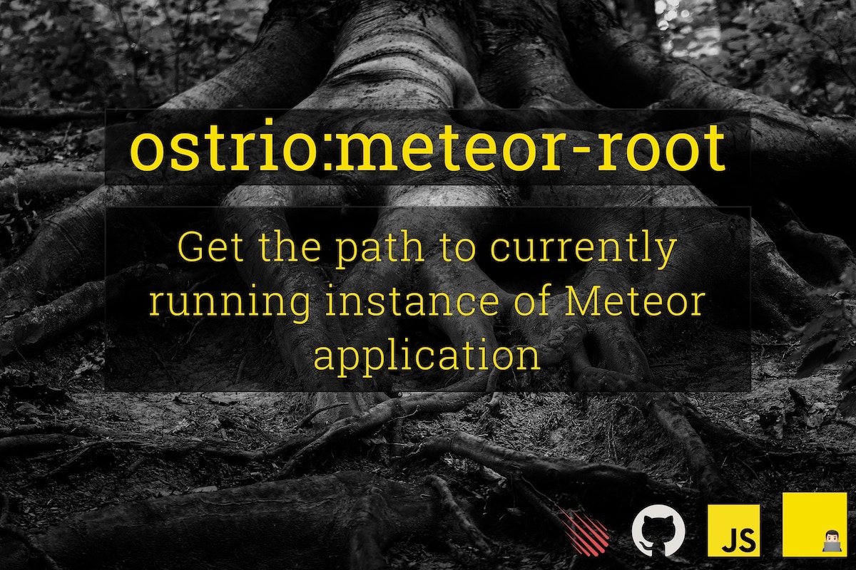GitHub - veliovgroup/Meteor-root: [Server] ☄️ Get path on a server where Meteor application is ...