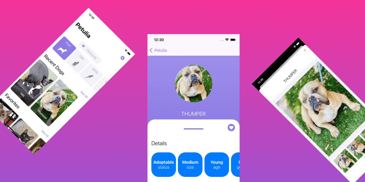 GitHub - bigimot22/Petulia-Open: SwiftUI project consuming a RESTful API