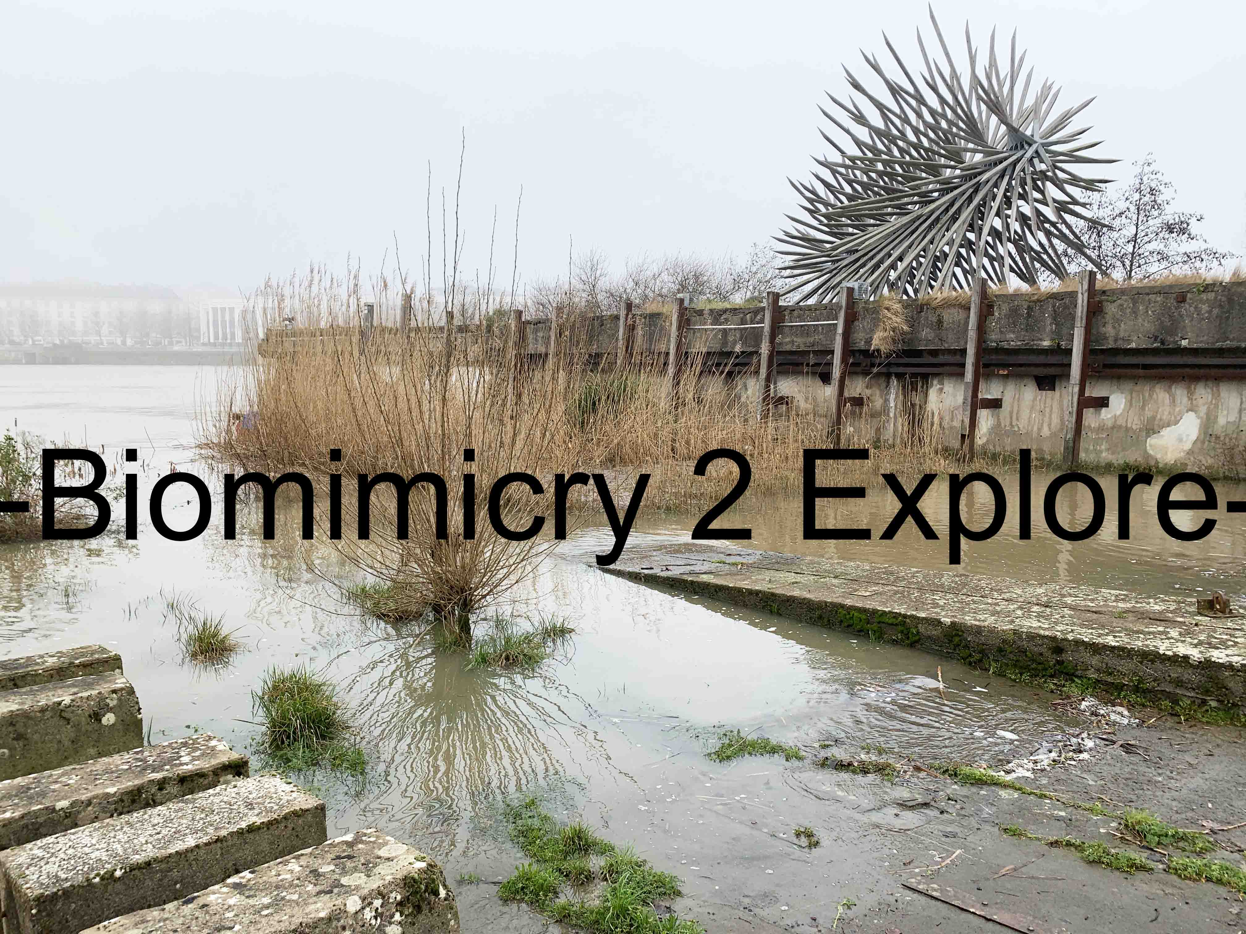 GitHub - Digitallab2021/BIOMIMICRY-2