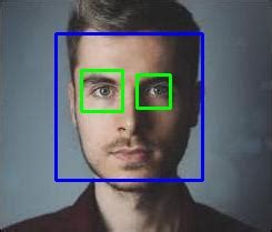 GitHub - Khwab-kalra/BLINKS