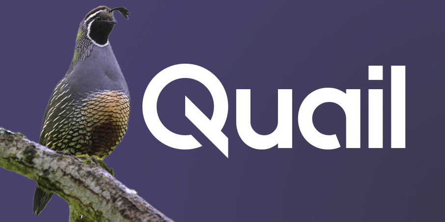 GitHub - qube-rt/quail: QUbe Aws Instance Leaser