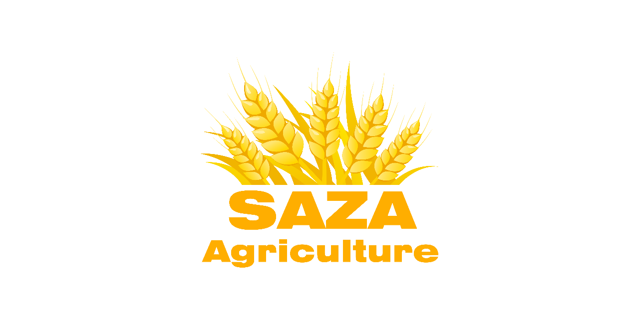 bpa · GitHub Topics · GitHub