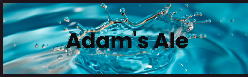 GitHub - salma2vec/Adam-Ale: Winning submission for Google Developers ...