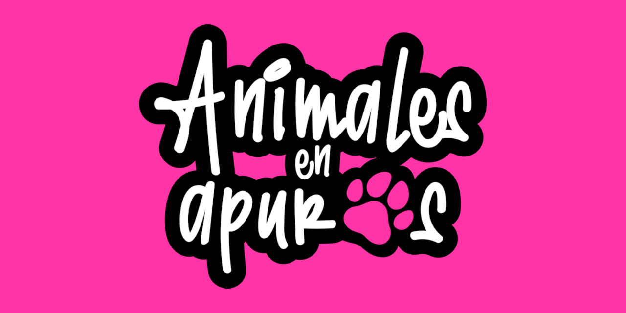 GitHub - carolinadalfonso/AnimalesEnApuros: Animales En Apuros