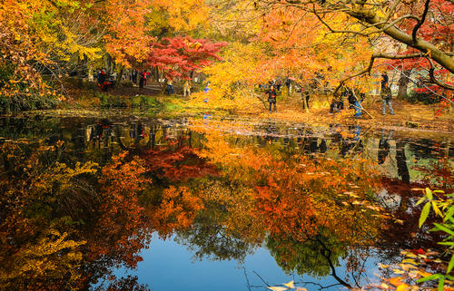 Github Gritpy Grit Github Io