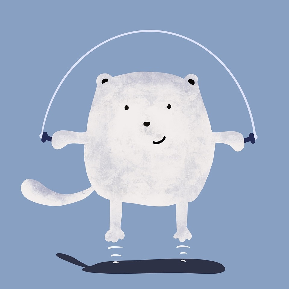 GitHub - zoneboy/sft