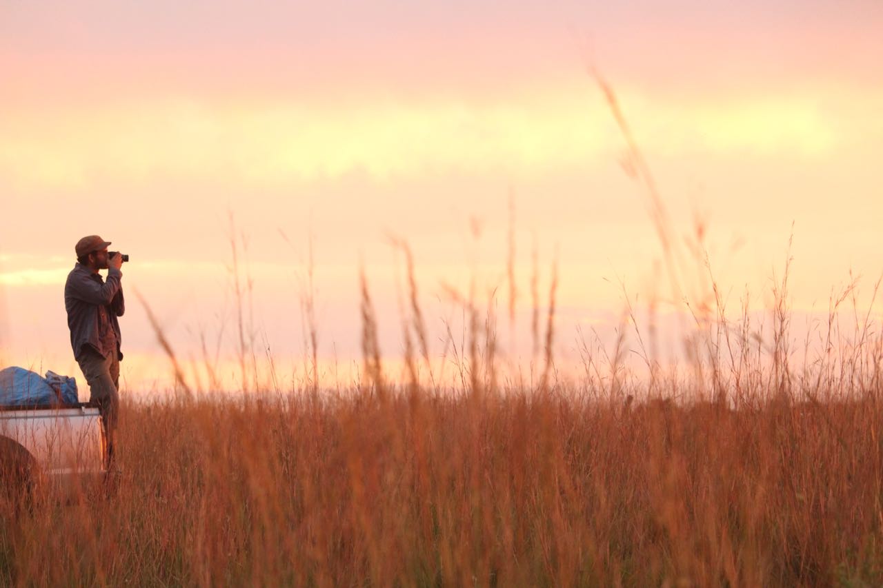 gis-data · GitHub Topics · GitHub