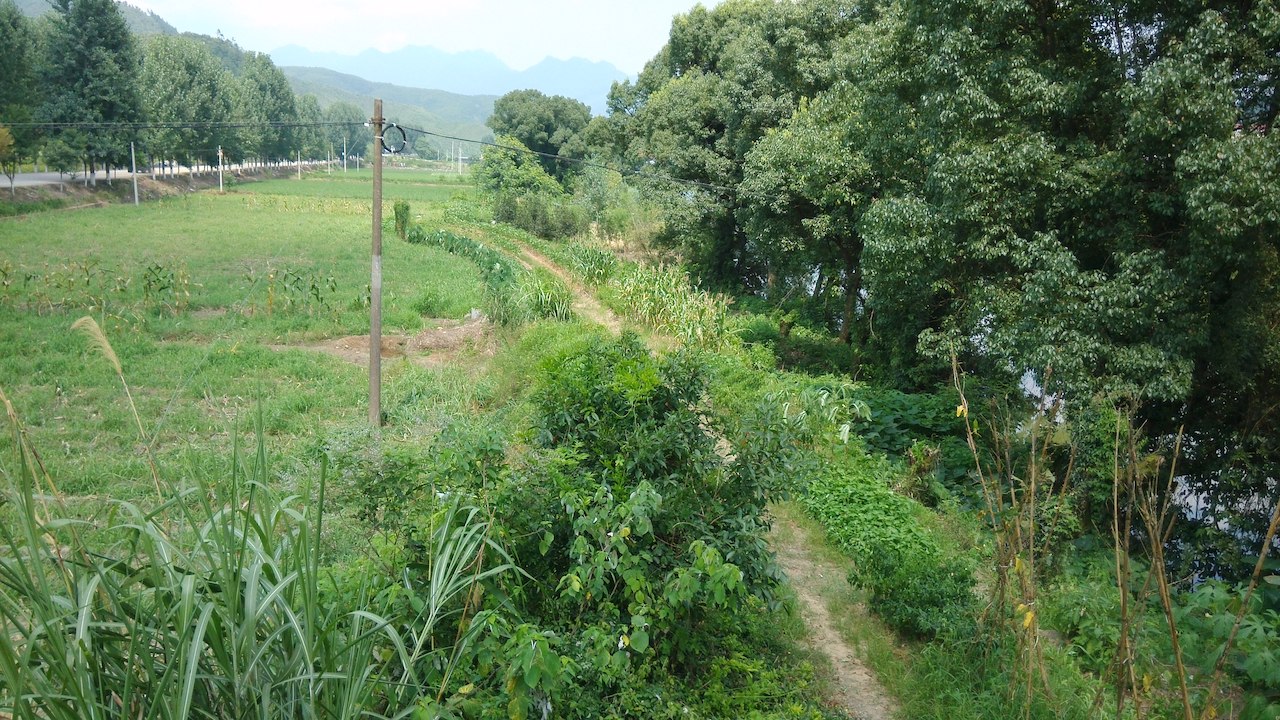 GitHub - cartosquare/cartosquare: let God be found true, but every man a liar.