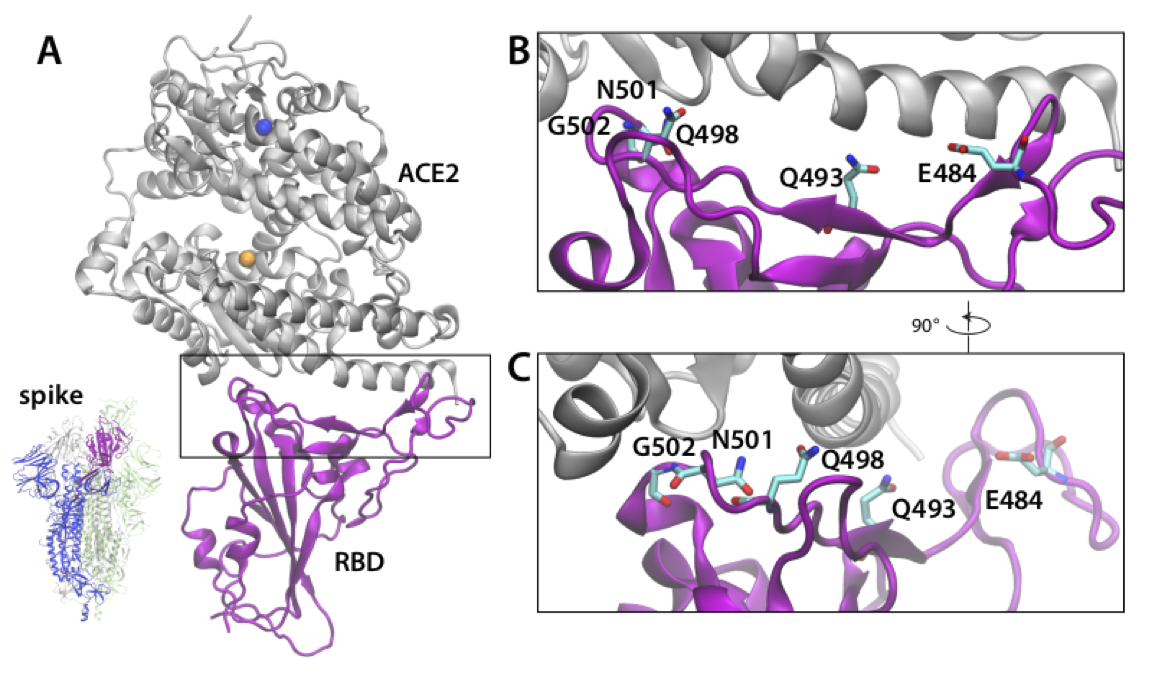 atomistic-simulations · GitHub Topics · GitHub