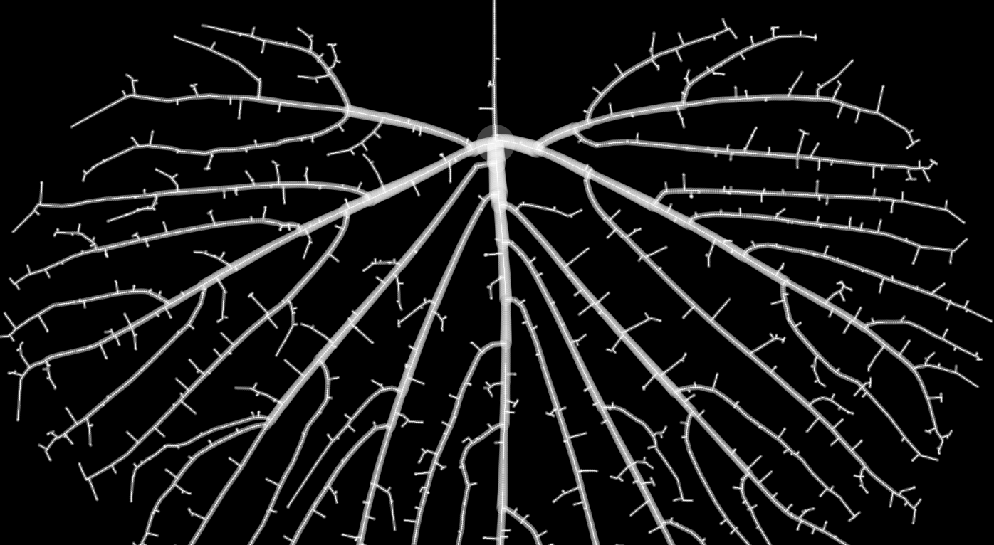GitHub - jaredstarbell/Venation: Leaf life patterns emerge in a field ...