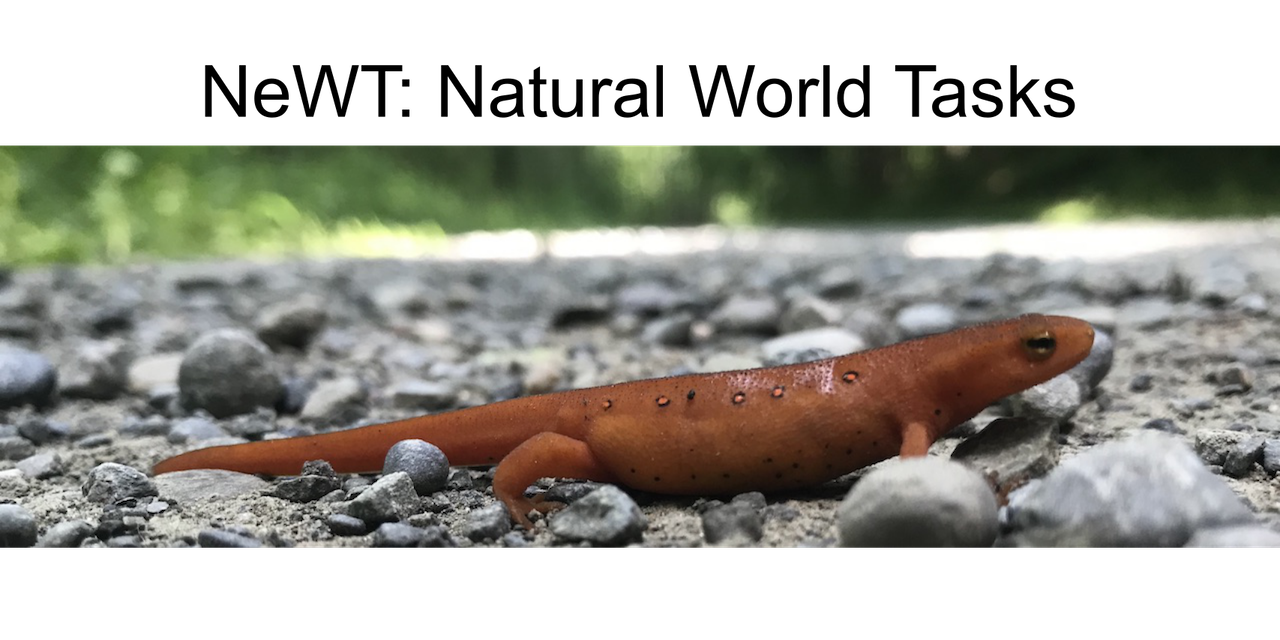 GitHub - visipedia/newt: Natural World Tasks