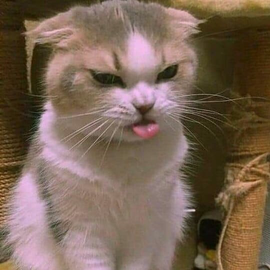 GitHub - mamiiblt/command-prompt-py: Command Prompt Example on Python