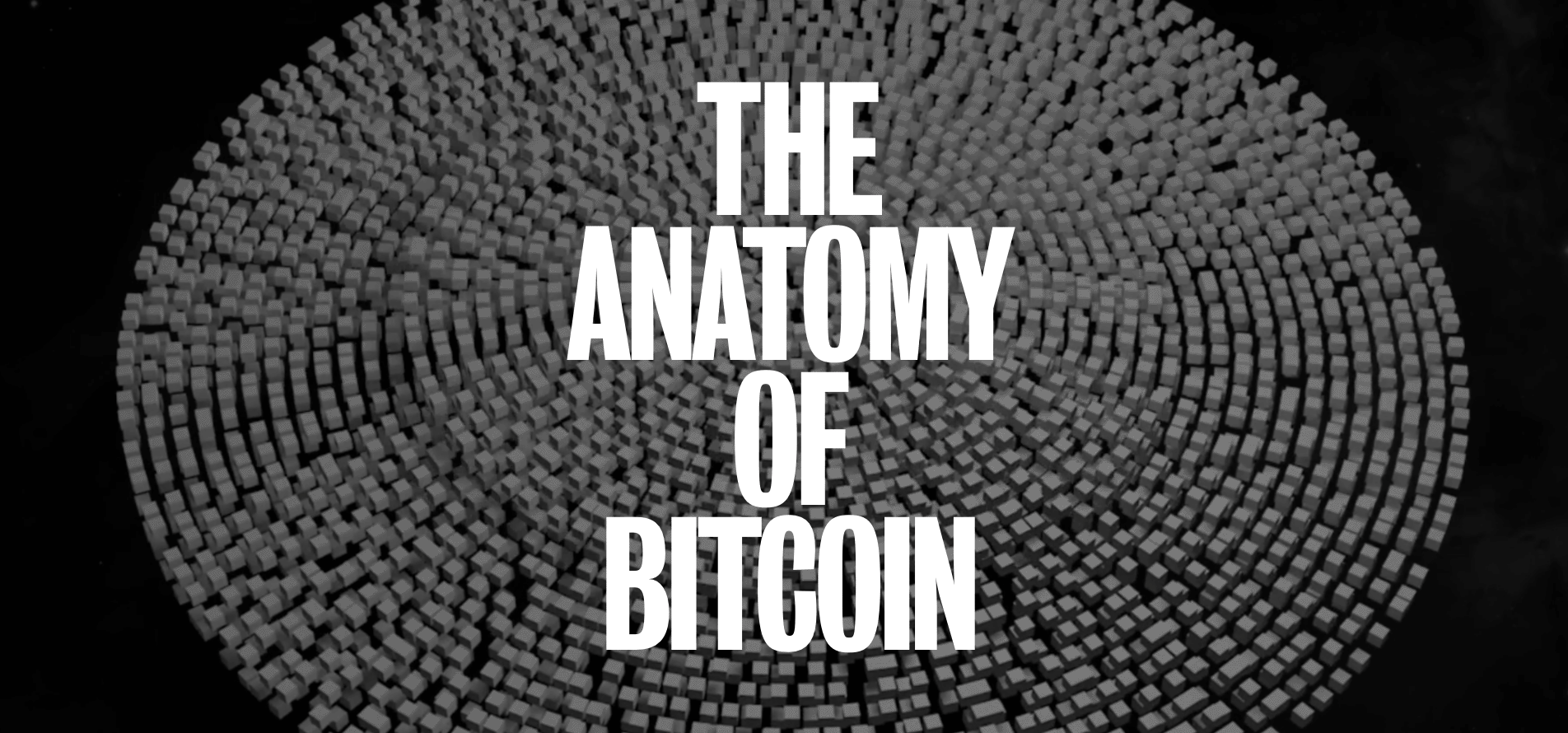 GitHub - pedromvpg/anatomy-of-bitcoin