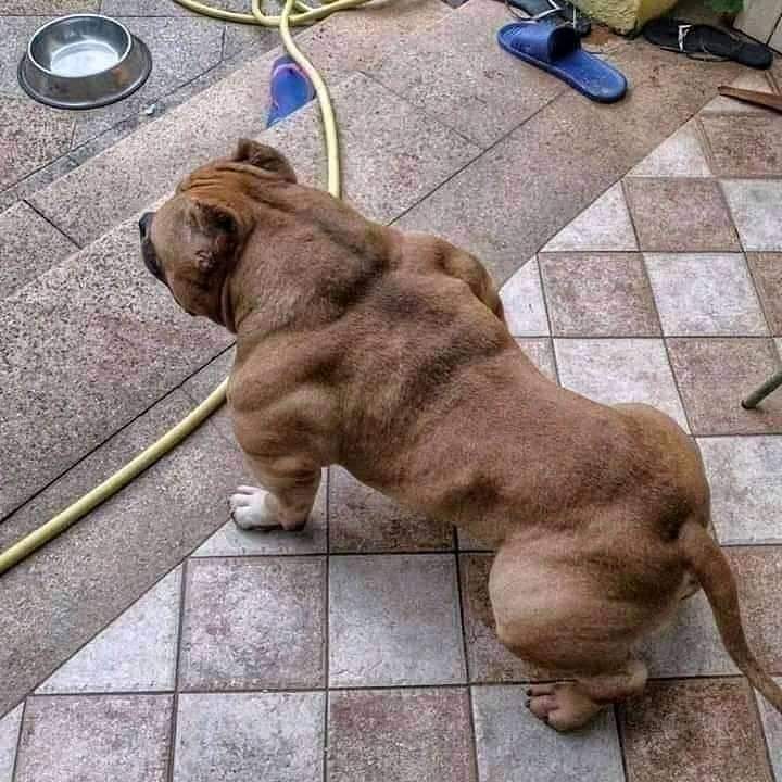 GitHub - SmartBucks/intro-html: A robot powered training repository :robot: