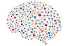 GitHub - justimapa/izhikevich: programming project done in the context ...