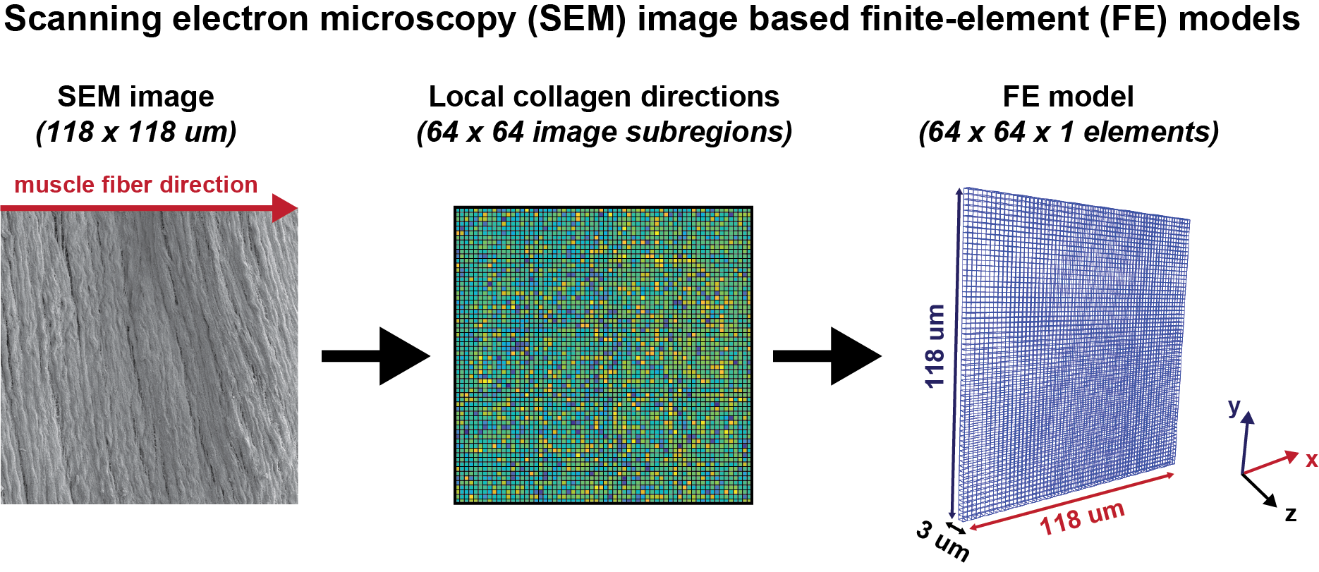 GitHub - ridhisahani/sem-fem: Scanning electron microscopy (SEM) image based finite-element ...