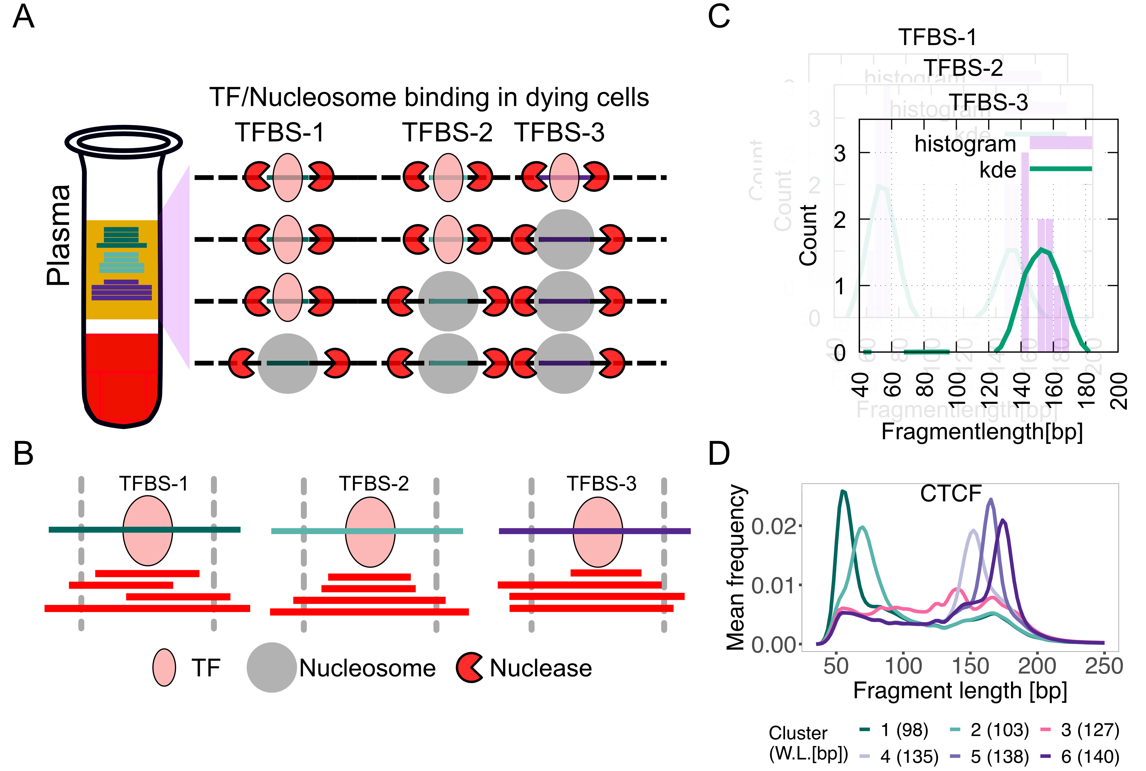 GitHub - satyanarayan-rao/tf_nucleosome_dynamics