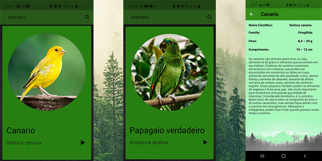 cardview · GitHub Topics · GitHub