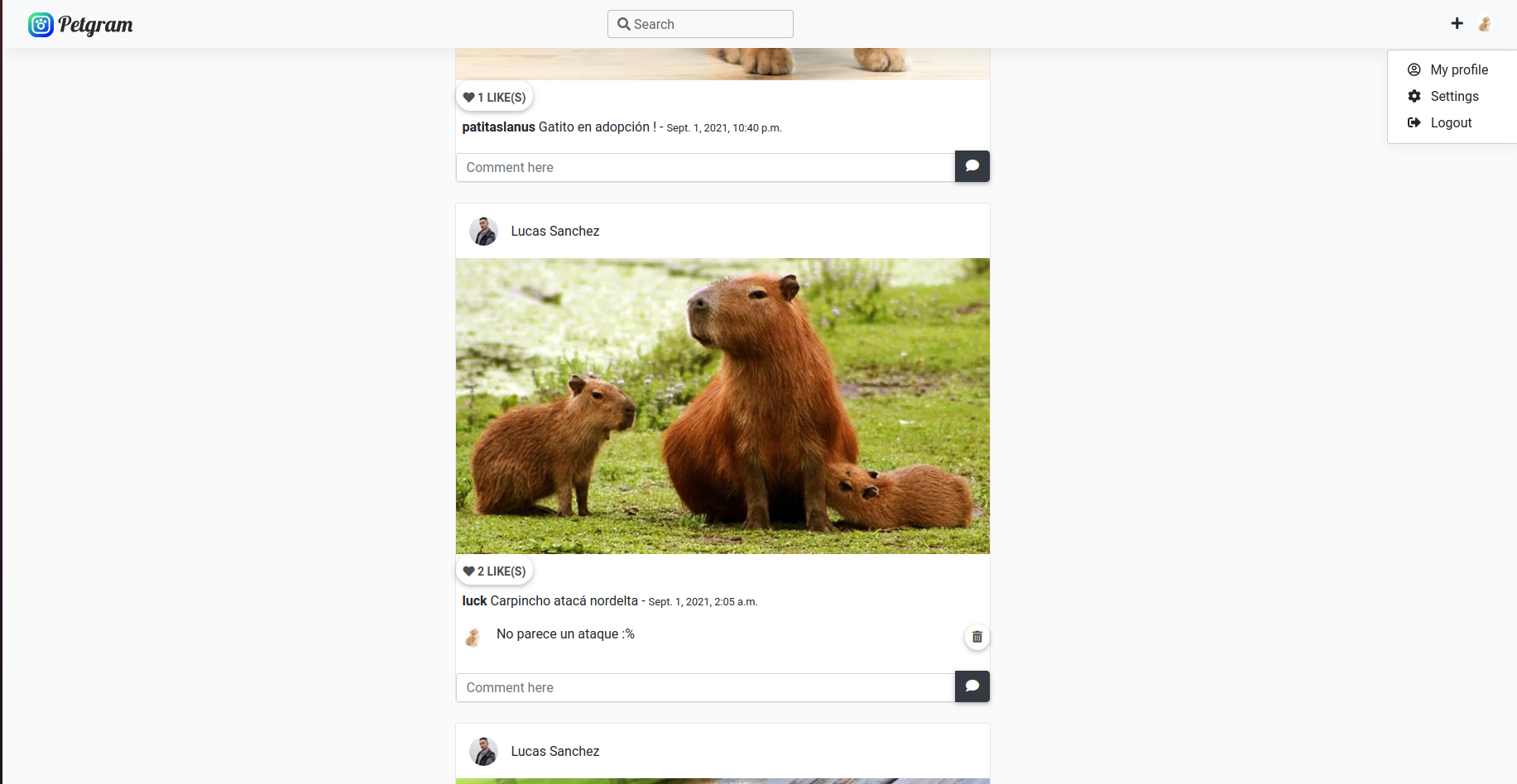 GitHub - luckdeluxe/petgram: Pet social network