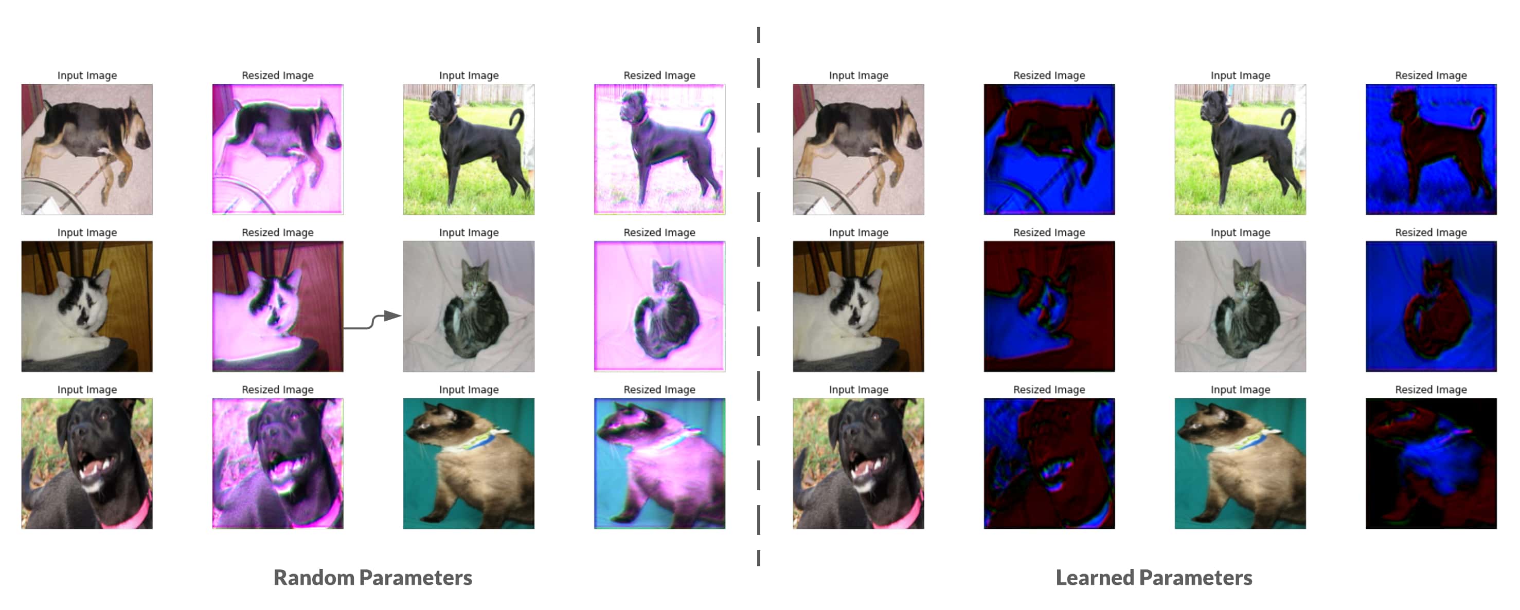 GitHub - sayakpaul/Learnable-Image-Resizing: TF 2 implementation ... GitHub - sayakpaul/Learnable-Image-Resizing: TF 2 implementation ...