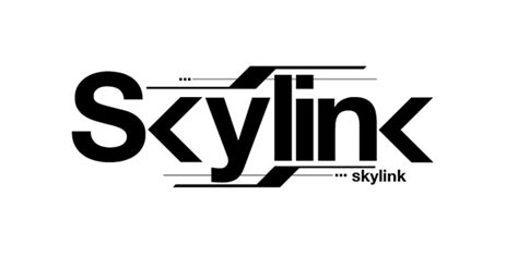 GitHub - rithik-c/SkyLink: Virtual event platform and chatroom using Socket.io
