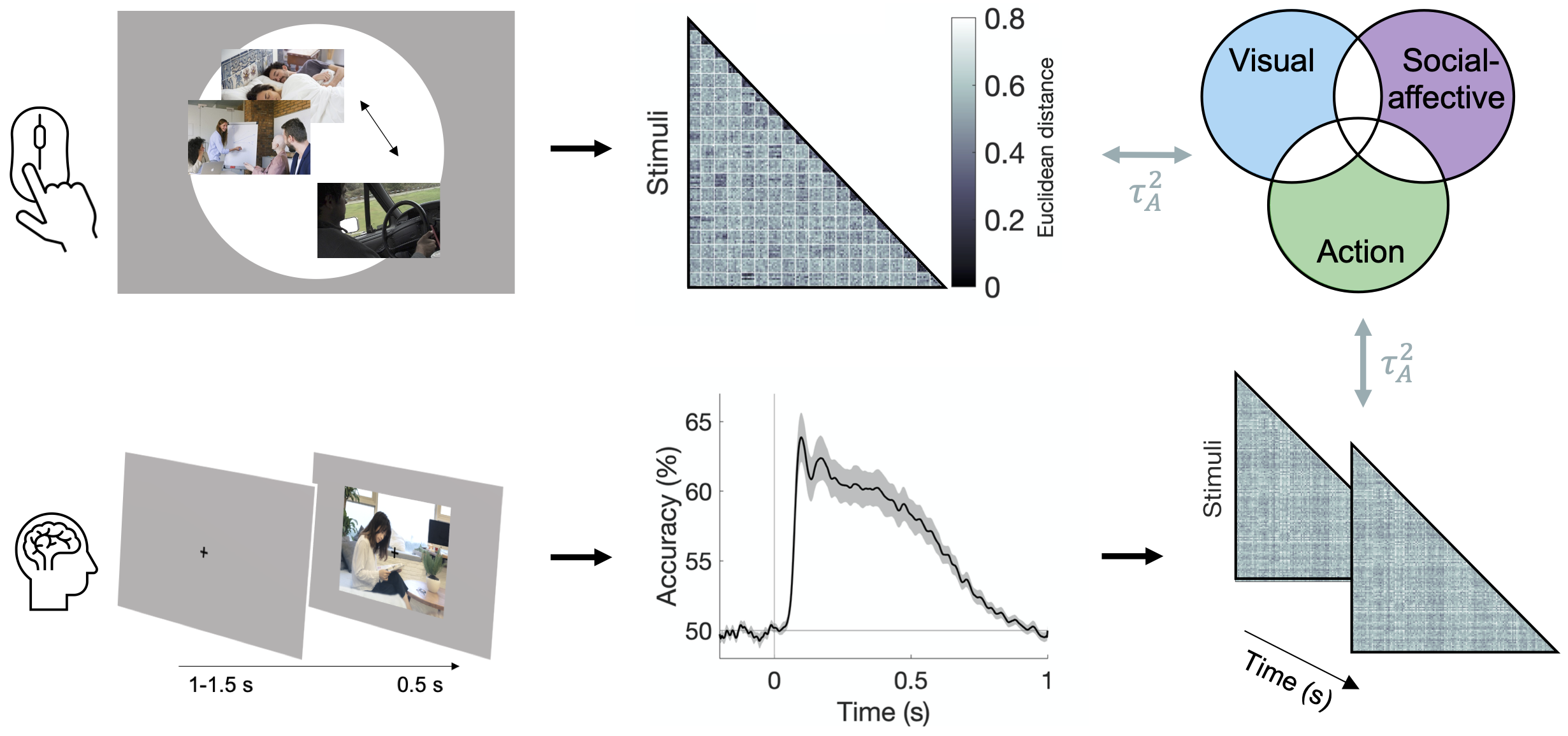 GitHub - dianadima/mot_action: Behavioral and EEG investigation of ...
