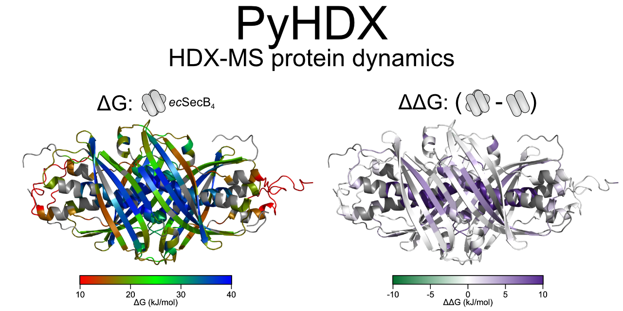 GitHub - Jhsmit/PyHDX-paper: Code to generate figures for the PyHDX paper