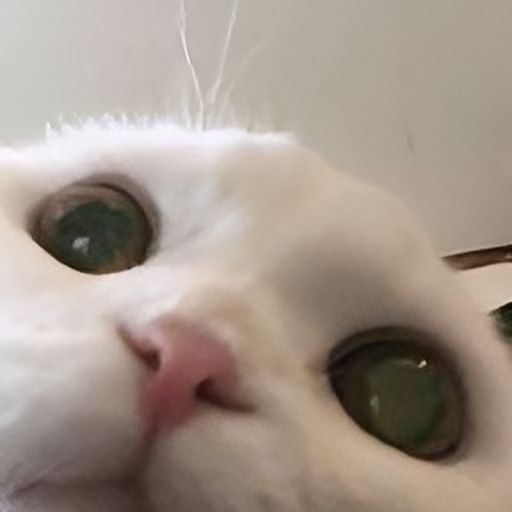 GitHub - MingTheNoob/MingTheNoob: Config files for my GitHub profile.