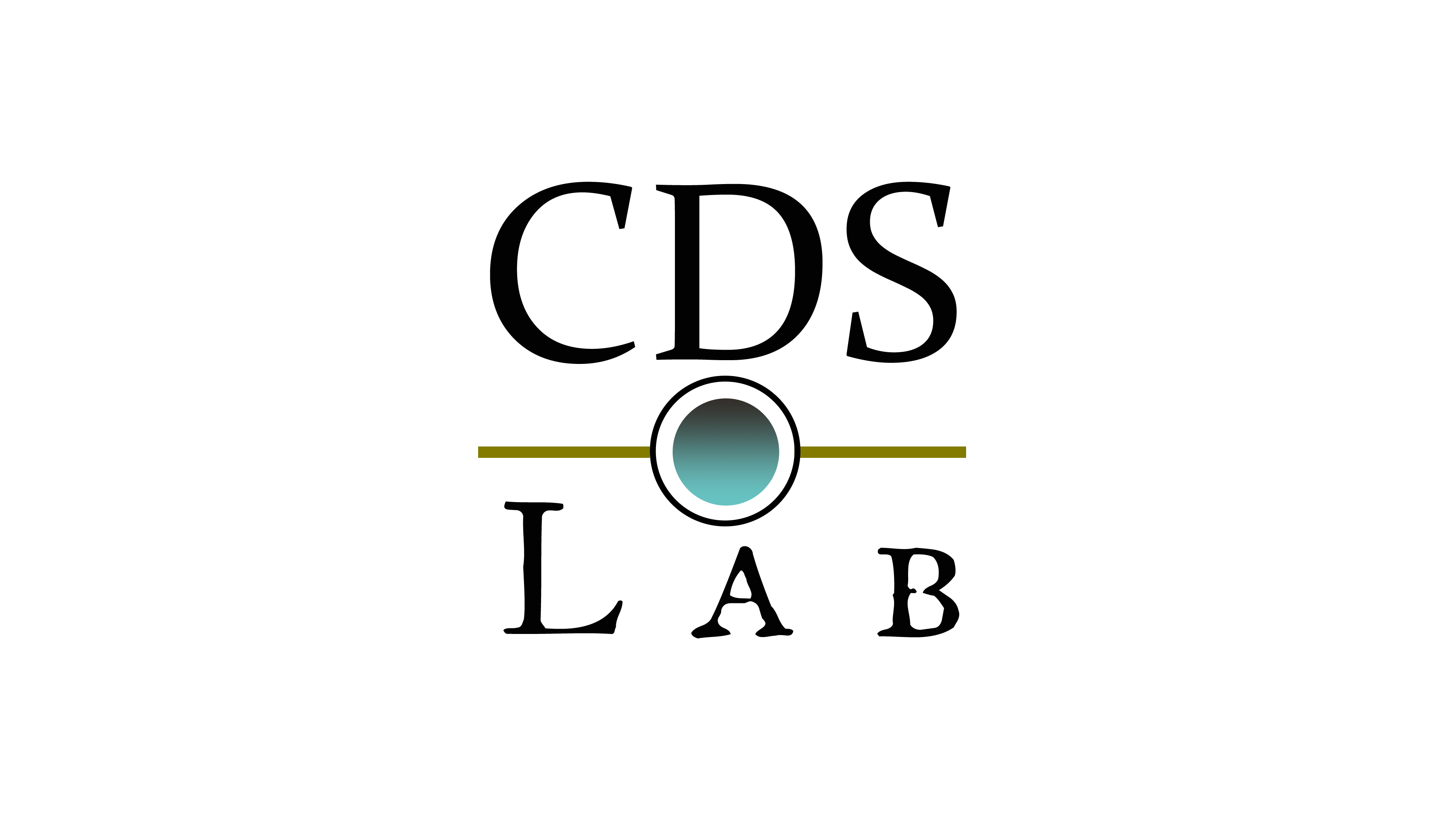 GitHub - fenfisdi/cdslab: CDSLab application