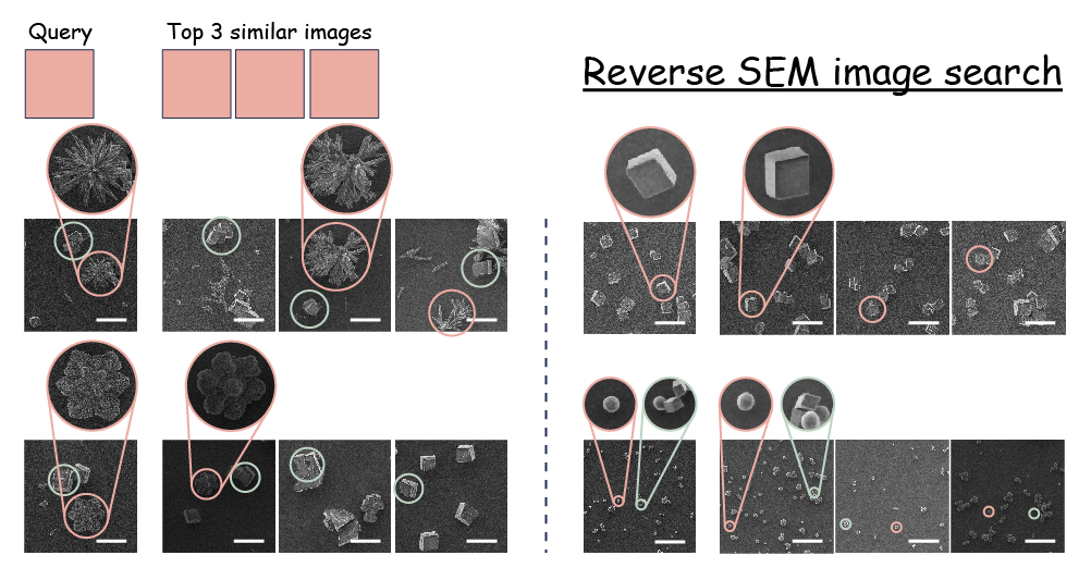 GitHub - acid-design-lab/EMRIS: EMRIS is an open-access tool for scanning/transmission electron ...