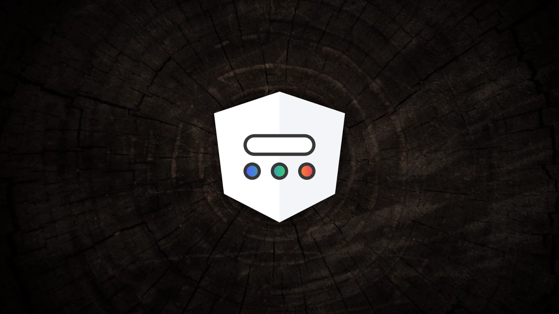 Github Lamnhan Ngxer Tool For Prerendering Angular Apps