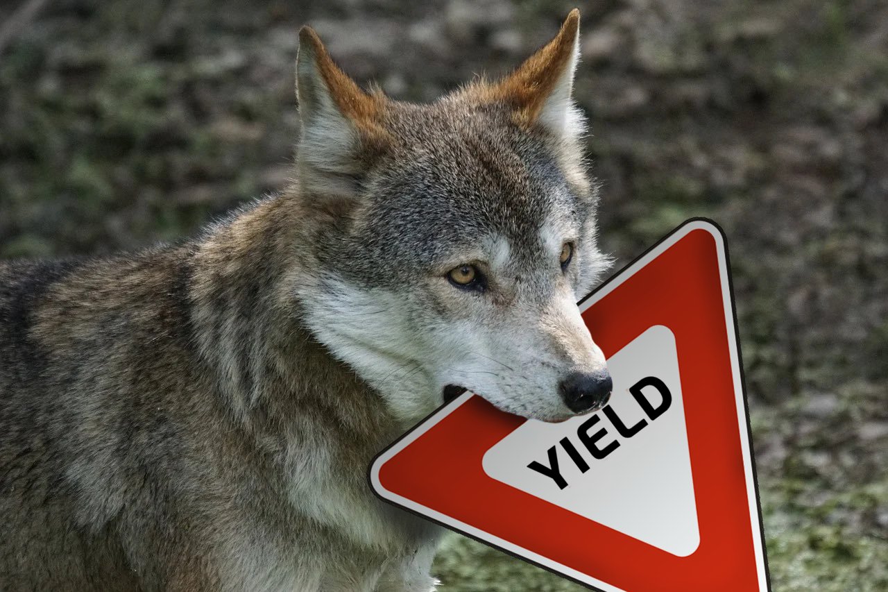 GitHub - code-423n4/2021-05-yield-findings