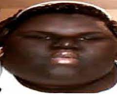 GitHub - tw1tch-dev/tw1tch-dev