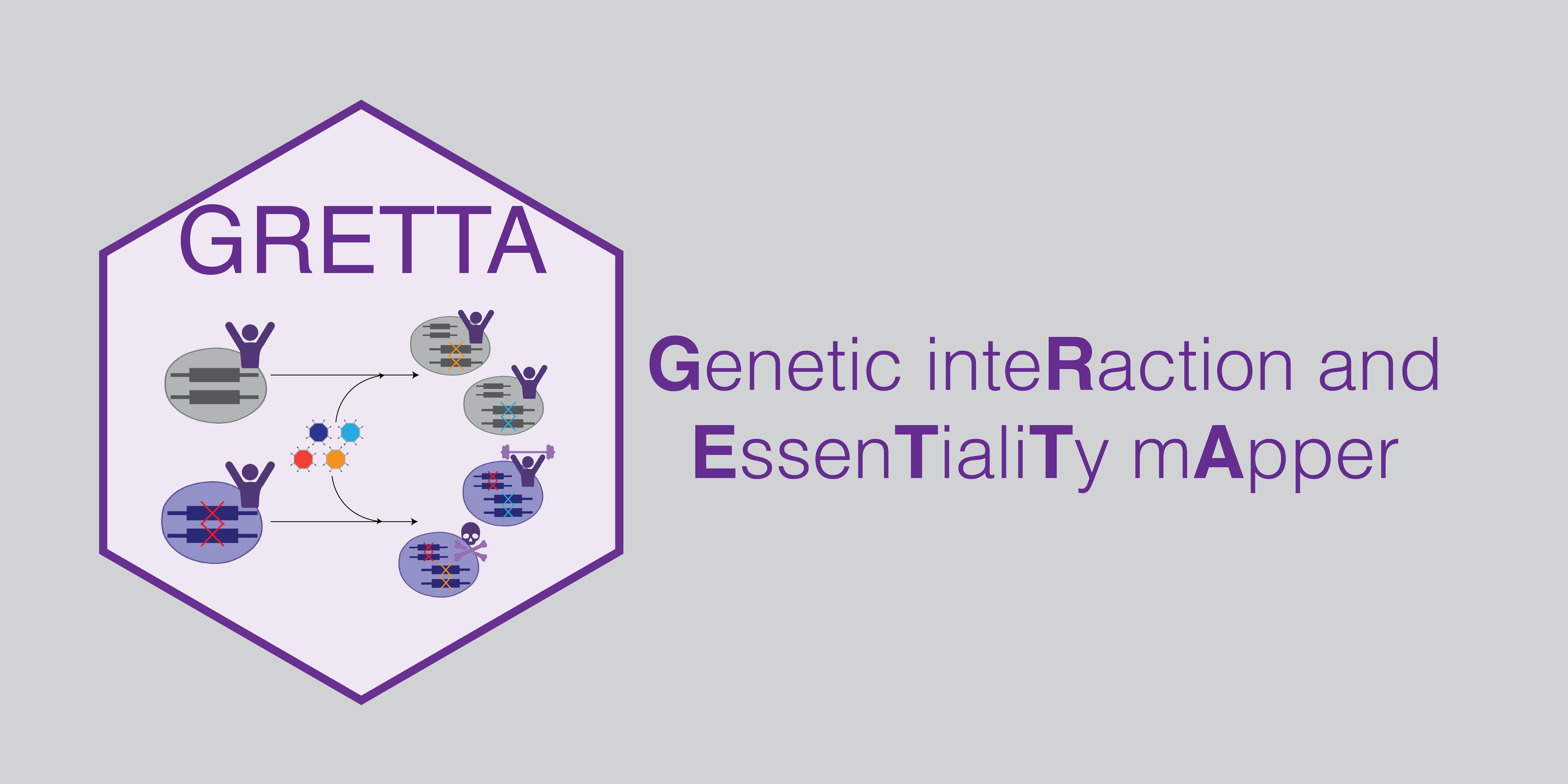 GitHub - ytakemon/GRETTA: GRETTA (Genetic inteRaction and EssenTiality neTwork mApper): An R ...