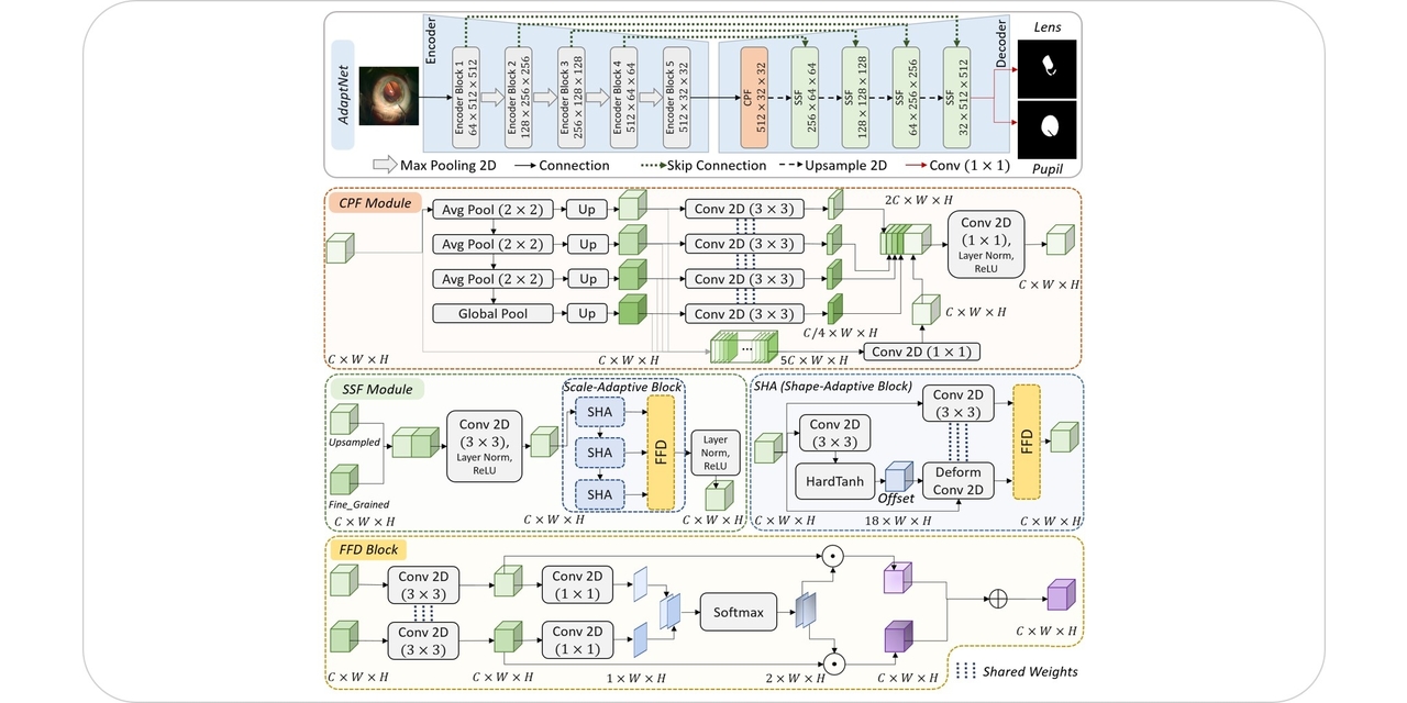 GitHub - Negin-Ghamsarian/AdaptNet-MICCAI2021: PyTorch implementation of AdaptNet (Shape/Scale ...