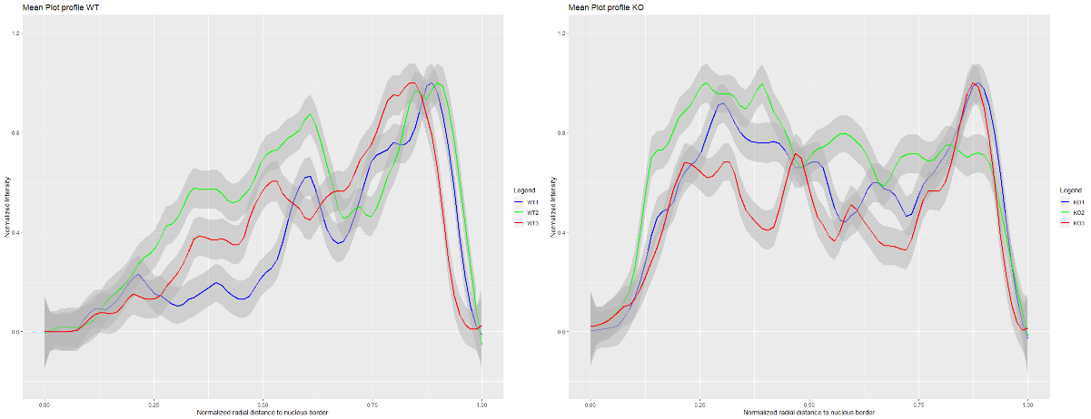 GitHub - Imagimm-CIML/Determining-the-intracellular-position