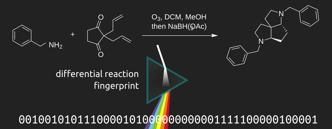 Github Reymond Group Drfp An Nlp Inspired Chemical Reaction Fingerprint Based On Basic Set